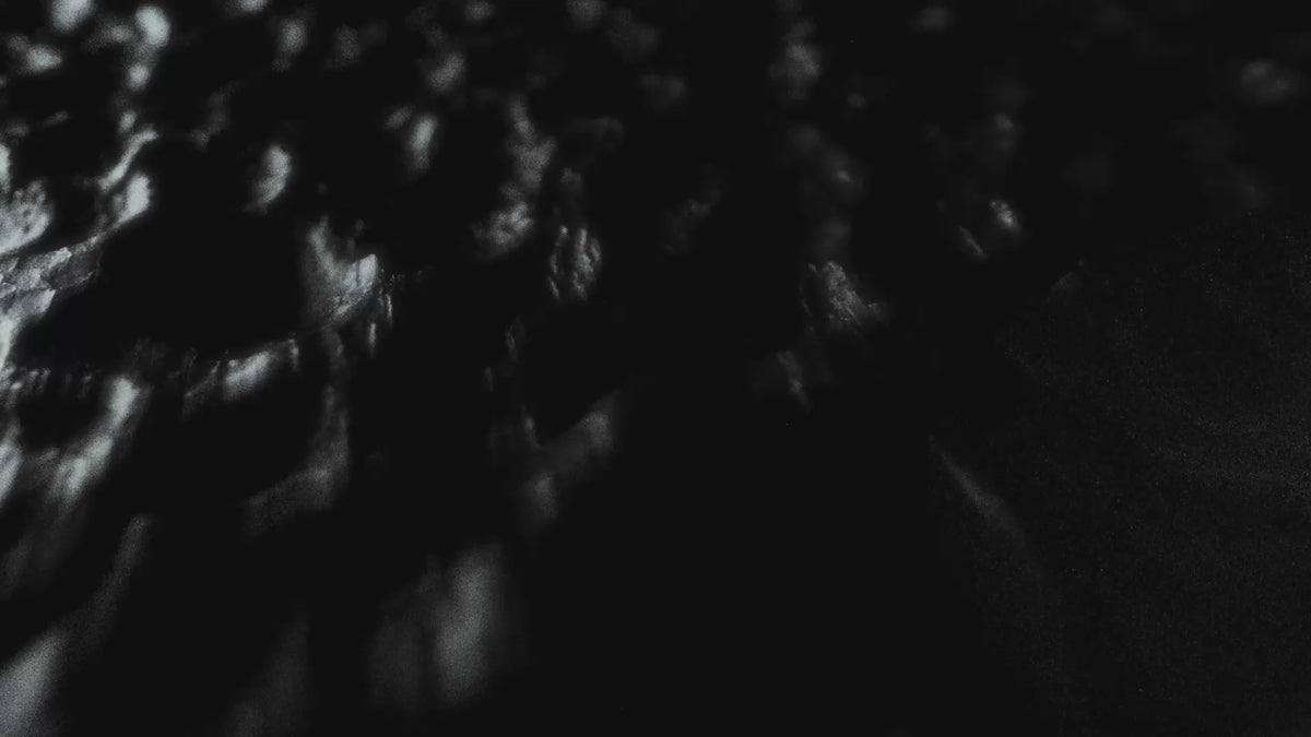 WALLHACK Gaming Gear